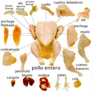 GastroNomia. MateriasPrimas: Tipos de Cortes: Despiece del POLLO