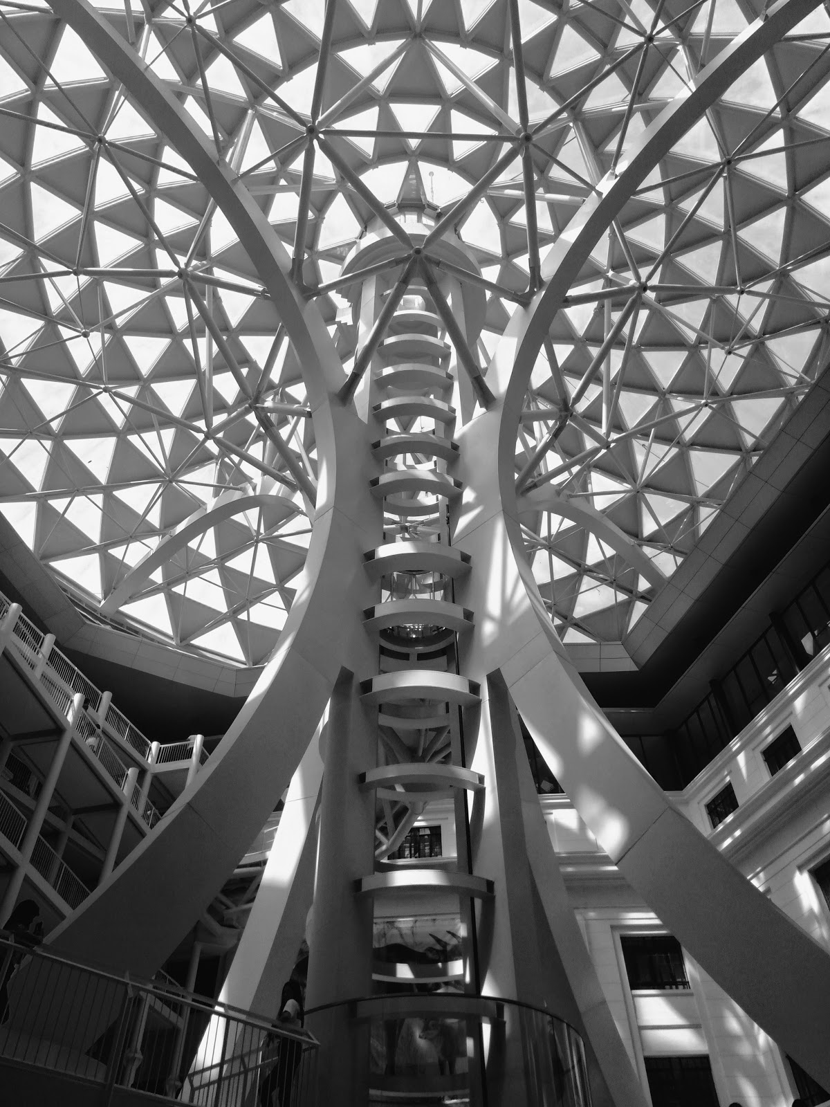 The Restless Soles: National Museum of Natural History: How to go There ...