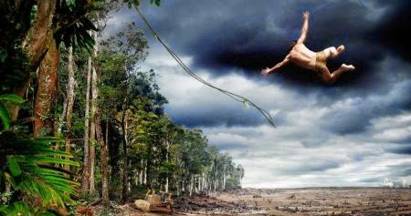 Campaign Week Day #1: Deforestation. - Science in the City