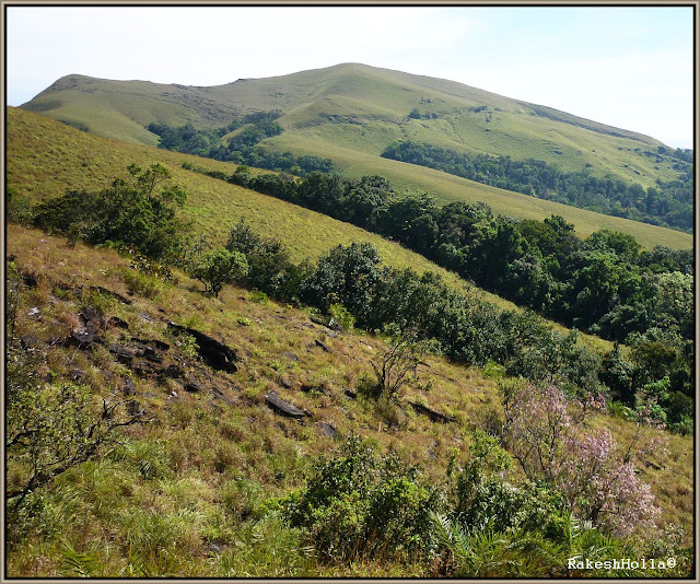 The Voice of Greenery - Trekking and Travelling in Western Ghats ...