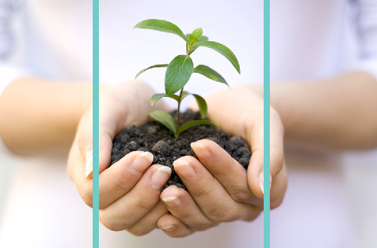 Notas de Cambio: Favorecer el desarrollo