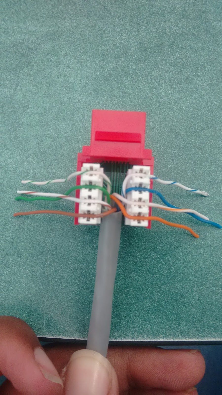 Pochado RJ45 y JACK...: PASO A PASO PONCHADO JACK