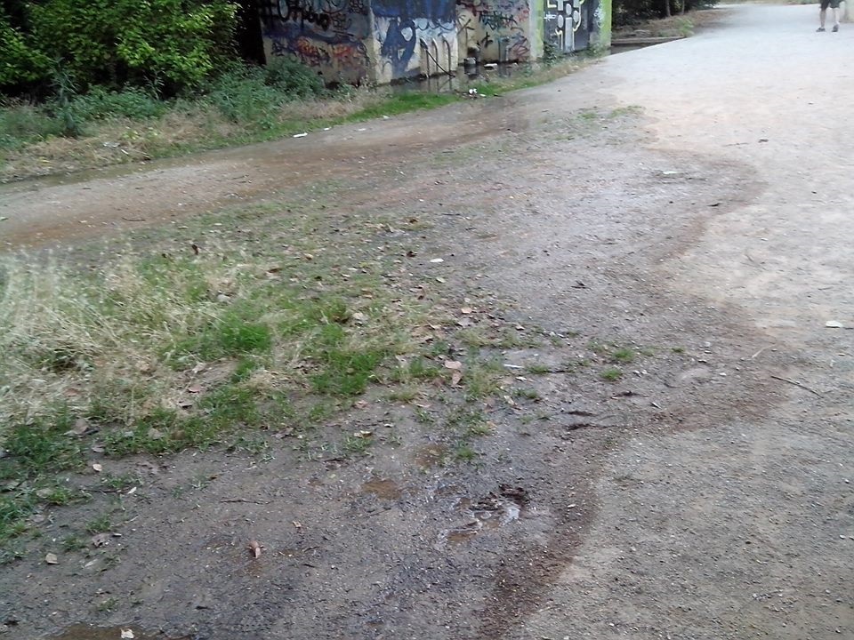 ΠΑΛΜΟΣ ΑΙΓΑΛΕΩcity: Άλσος Αιγάλεω, το νερό που μένει αναξιοποίητο