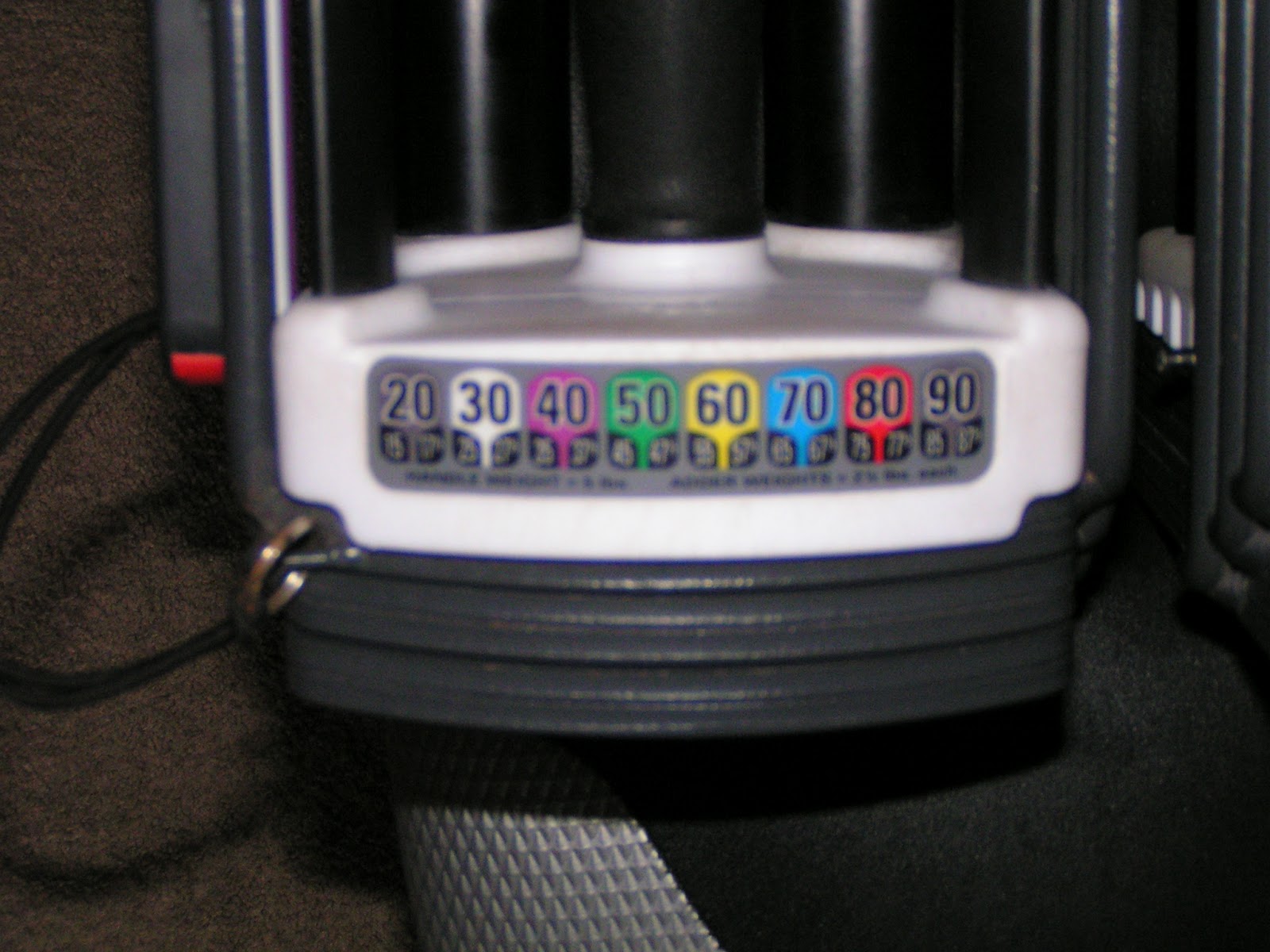 Adventures in post-transplantation fitness: Getting Small with ...