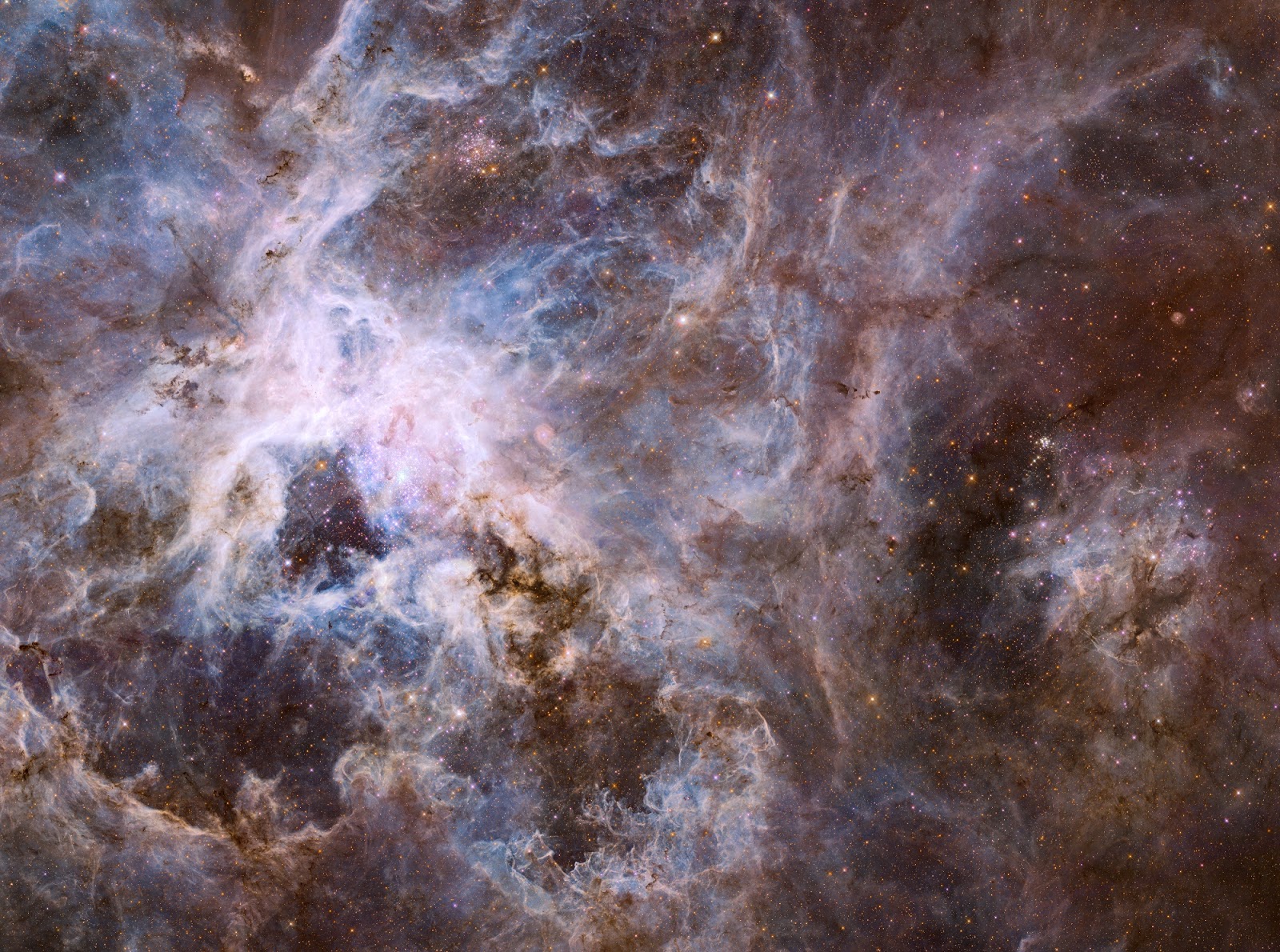 Optical Image of the Tarantula Nebula | Earth Blog