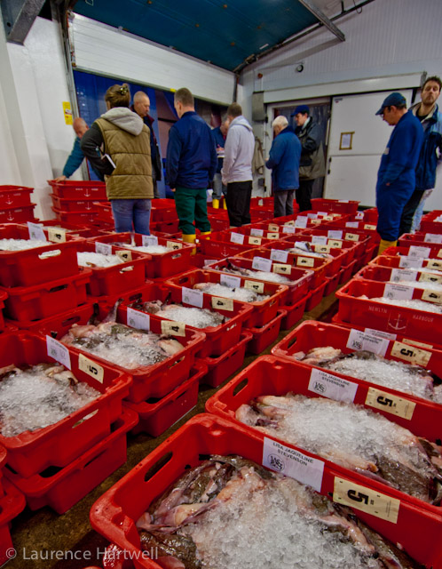 Through the Gaps! - Newlyn Fishing News: Penultimate fish market for ...