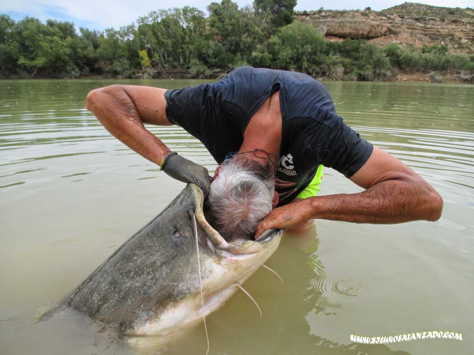 PESCA CON GUÍA DEL SILURO AL LANZADO Y PELLETS EN MEQUINENZA Y RÍO EBRO ...