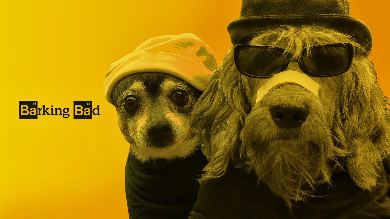 Barking_Bad (u/Barking_Bad) - Reddit