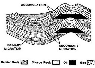 geologi geologi geologi: JENIS MIGRASI