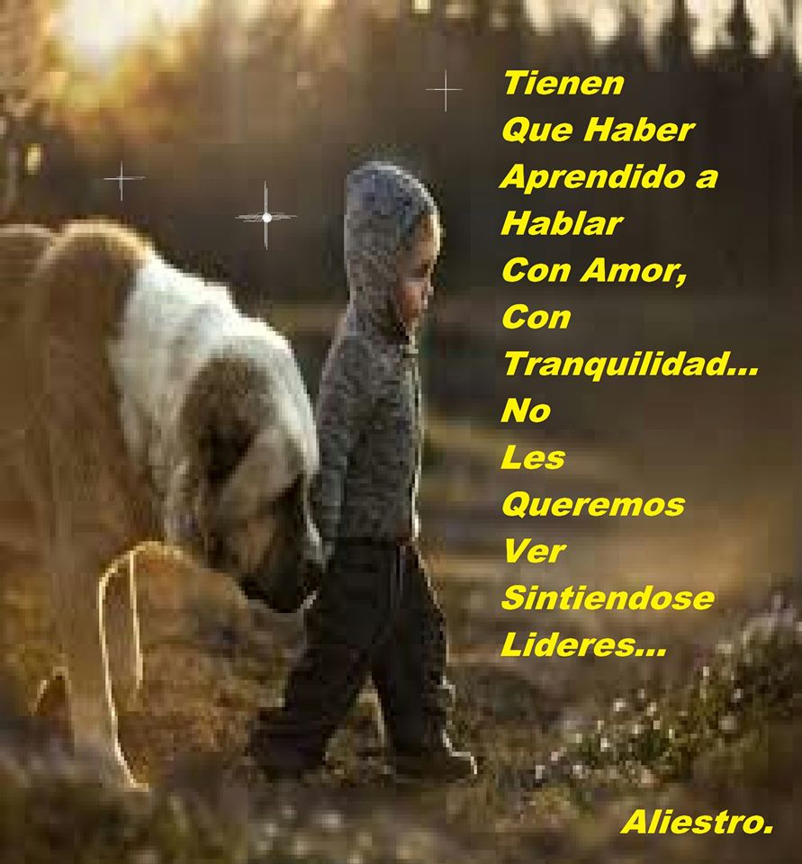 LOS GUARDIANES DEL UNIVERSO SU MENSAJE DE AMOR Y DE VIDA: HABLAR CON ...