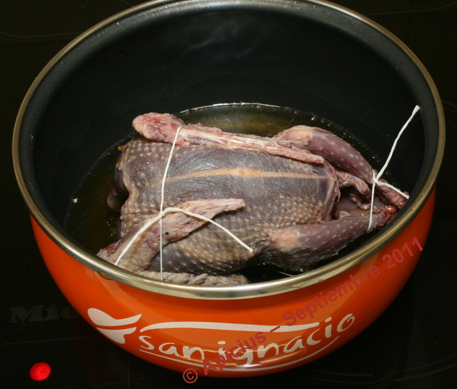 Paloma torcaz en salsa | La Cocina Paso a Paso