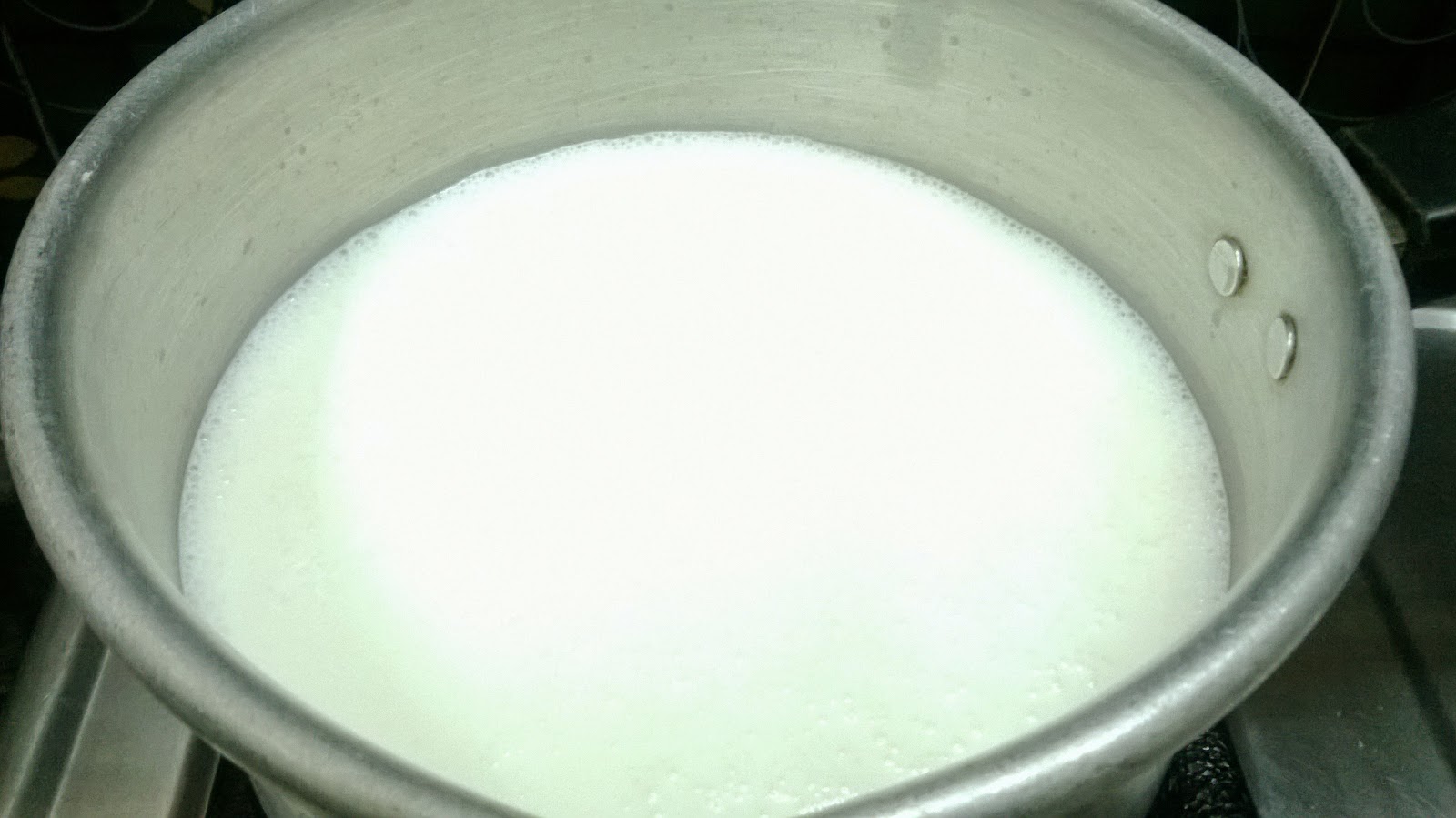 BananaLeaf Recipes: Homemade curd recipe / How to make curd or dahi or ...