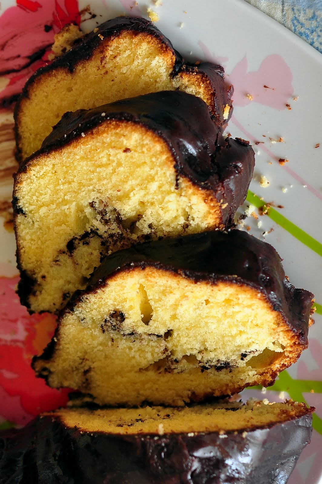 Širšių lizdas: rugpjūčio 2011