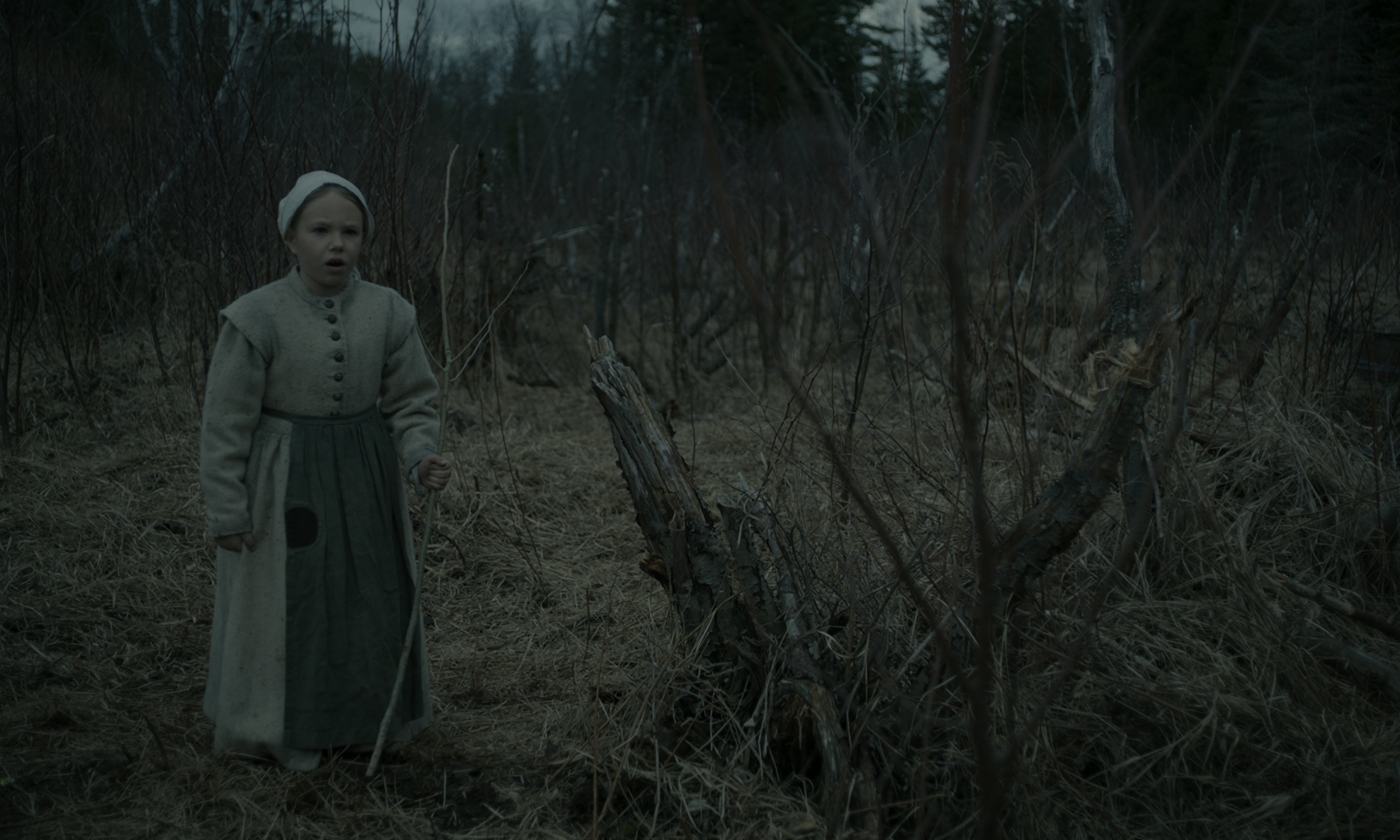 DVD Exotica: A Second Look At the VVitch