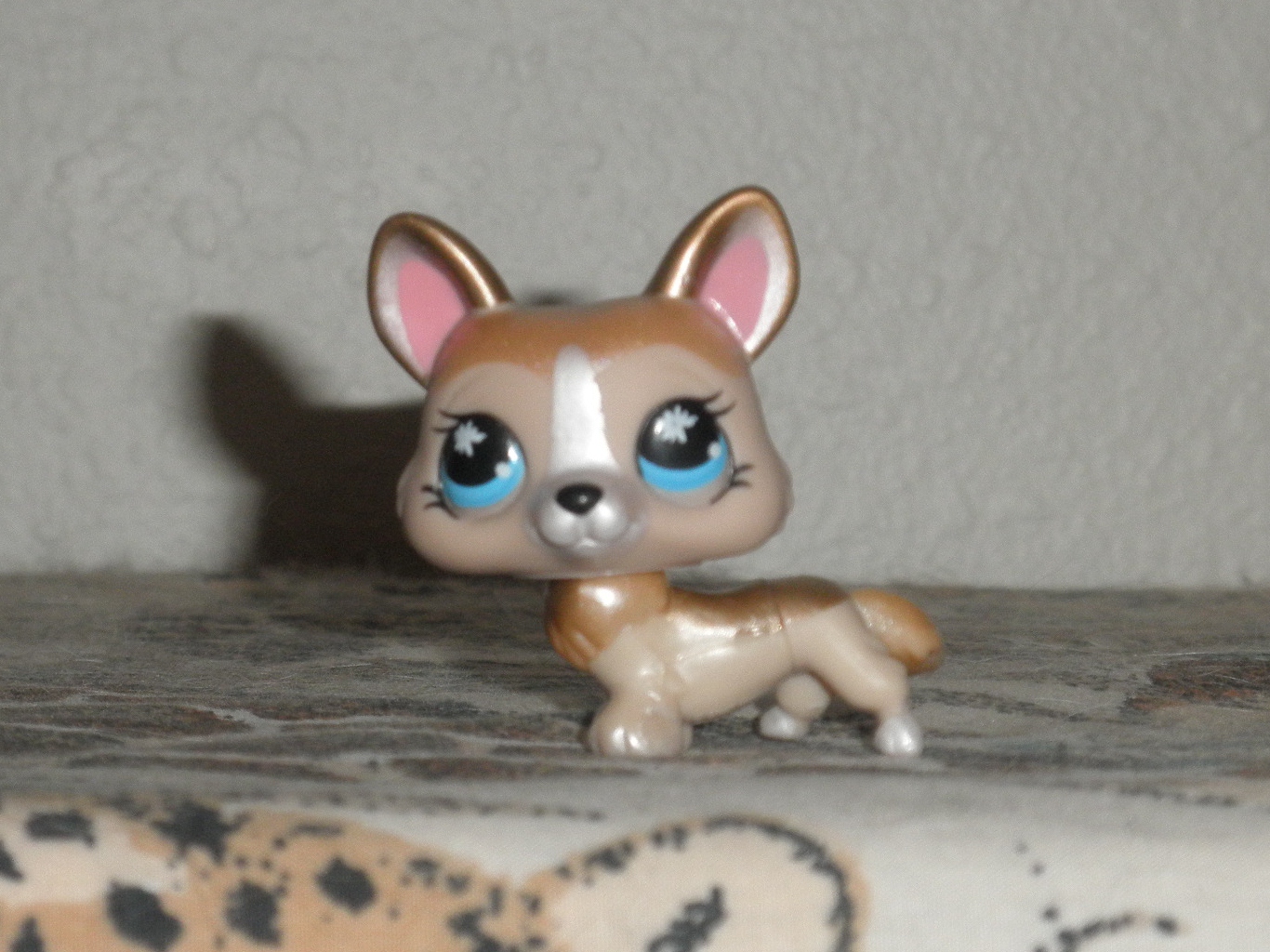 Collectomania: LPS Dogs Part 1