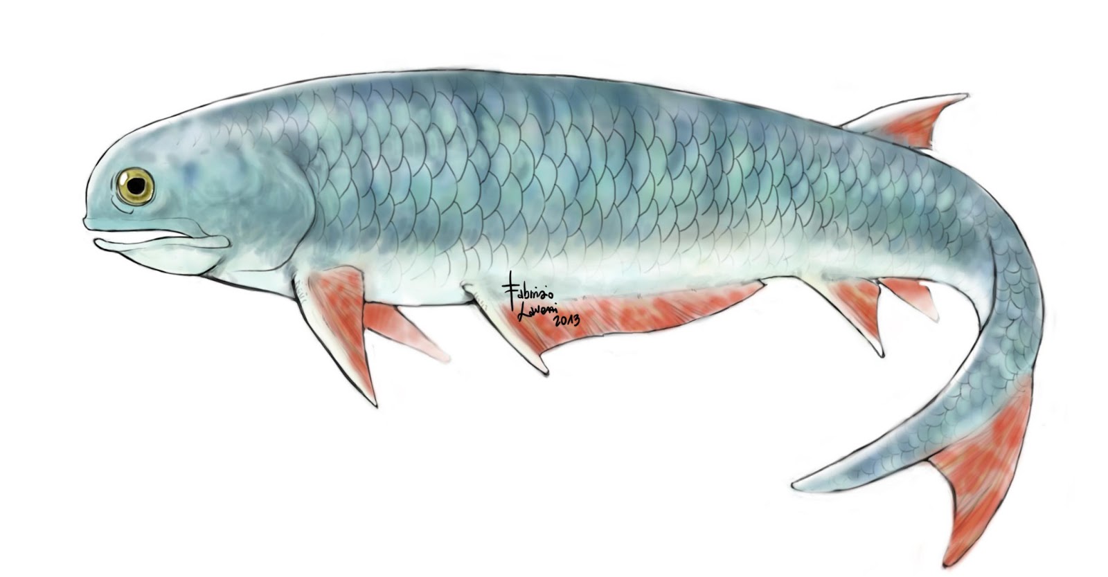 PaleoStories: Occhio alle spine: A tu per tu con gli acanthodi (Quarta ...