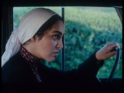 The Film Sufi: “The Fish Fall in Love” - Ali Rafie (2006)