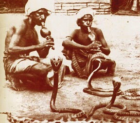 M A N T H A L A W A: මඟුල් කරඳ සහ අහිකුන්ඨිකයෝ | Magul Karanda & Sri ...