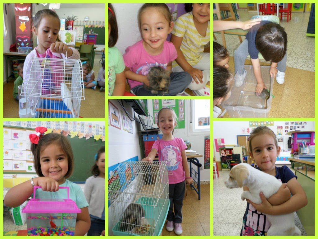 Las cositas de la maestra Ana: Nuestras mascotas.
