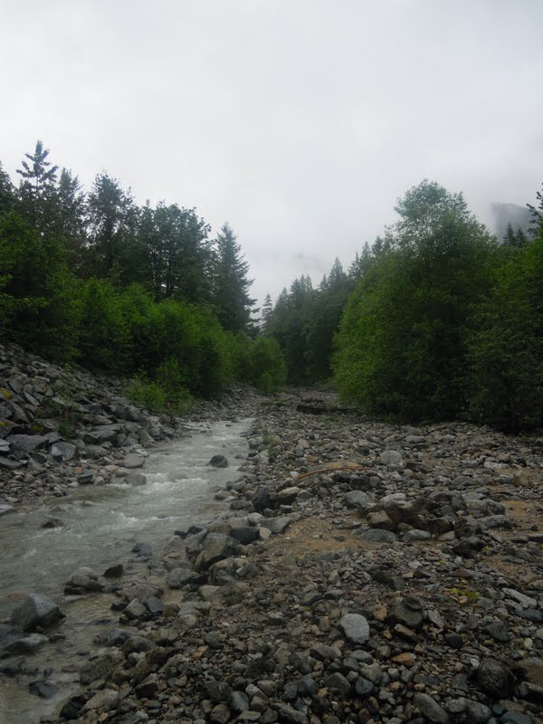 The Phamlee: BC Parks: Davis Lake Provincial Park - Geocaching