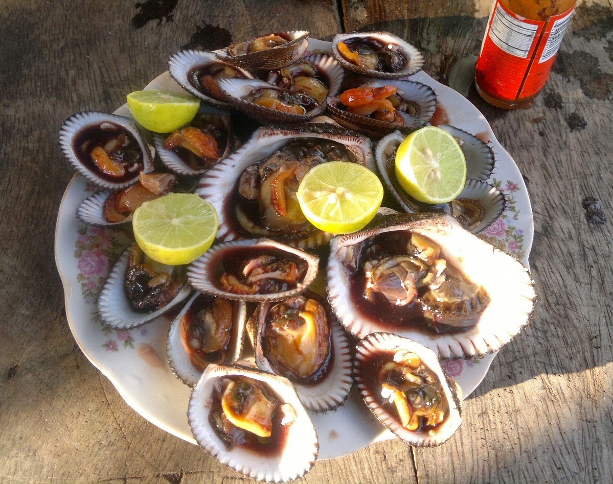 Fotos de Conchas que te encantaran - Taringa!
