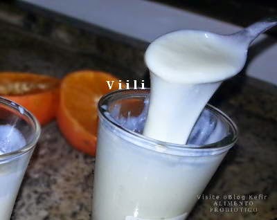 KEFIR - Alimento Probiótico : Viili - o iogurte probiótico infinito