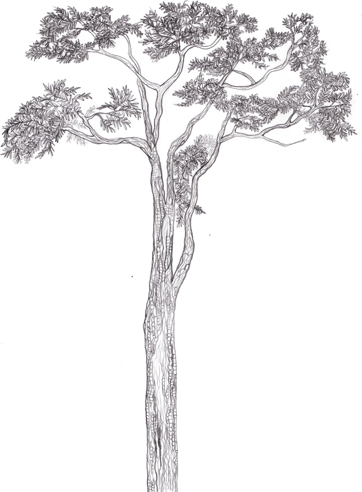 ARTE VICTOR SOSSA S.: Portafolio