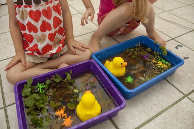 Pond Sensory Bin - Life with Moore Babies