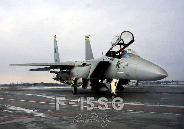 1/6 Gallery: RSAF F-15SG Strike Eagles Fighter Pilots - 149 Squadron ...