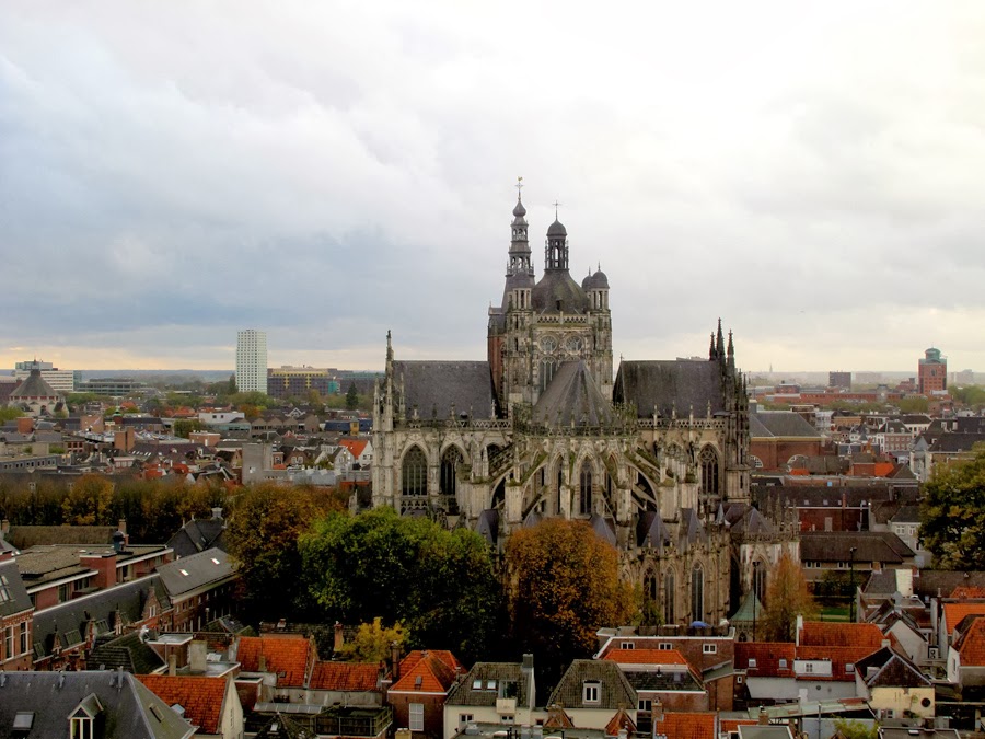 acediscovery: What's in 'S-Hertogenbosch