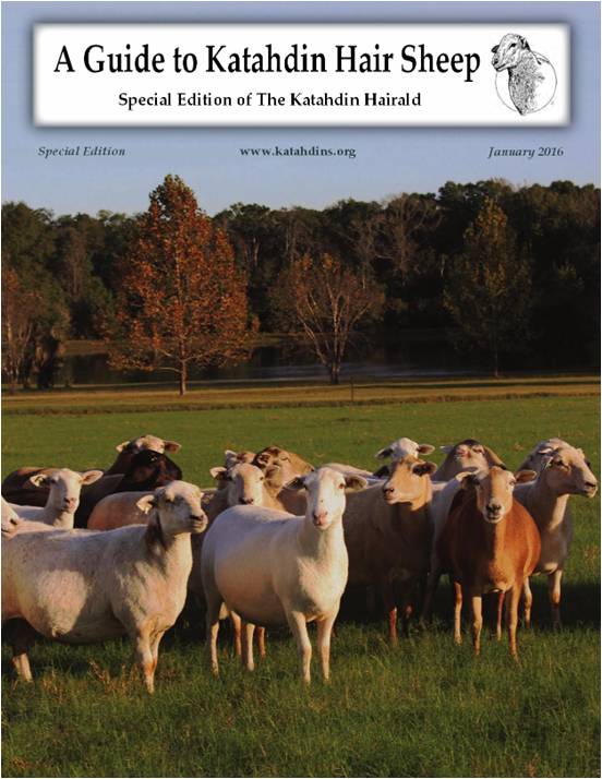 Shepherd's Notebook: A Guide to Katahdin Hair Sheep