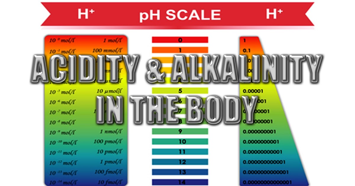 Acidity And Alkalinity In The Body
