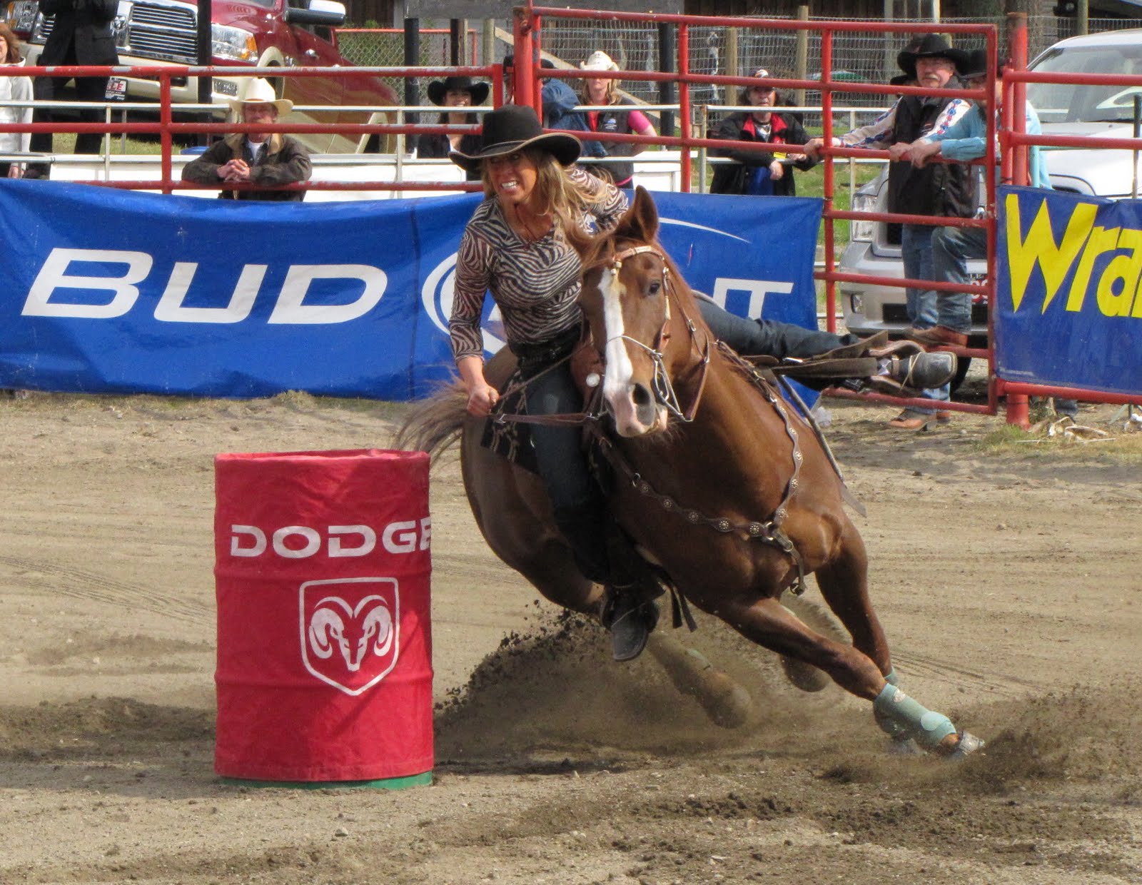 Millennium Dragon: May 2011 - Luxton Rodeo Images...