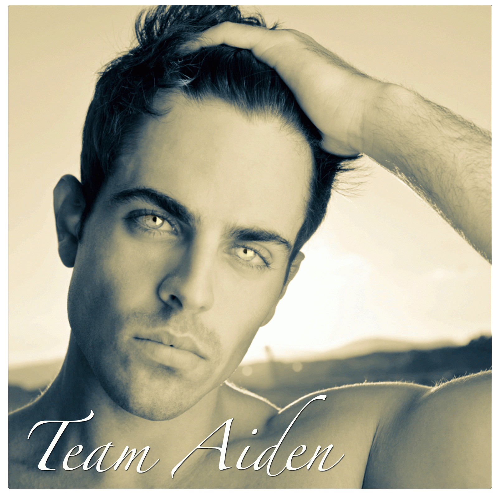 Disgruntled Bear: TEAM AIDEN