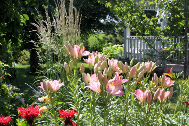 Grace Gardens: It can't be the middle of August!