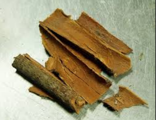 Fahamu kilimo bora cha Mdalasini - cinnamon - MANYAMAJR: