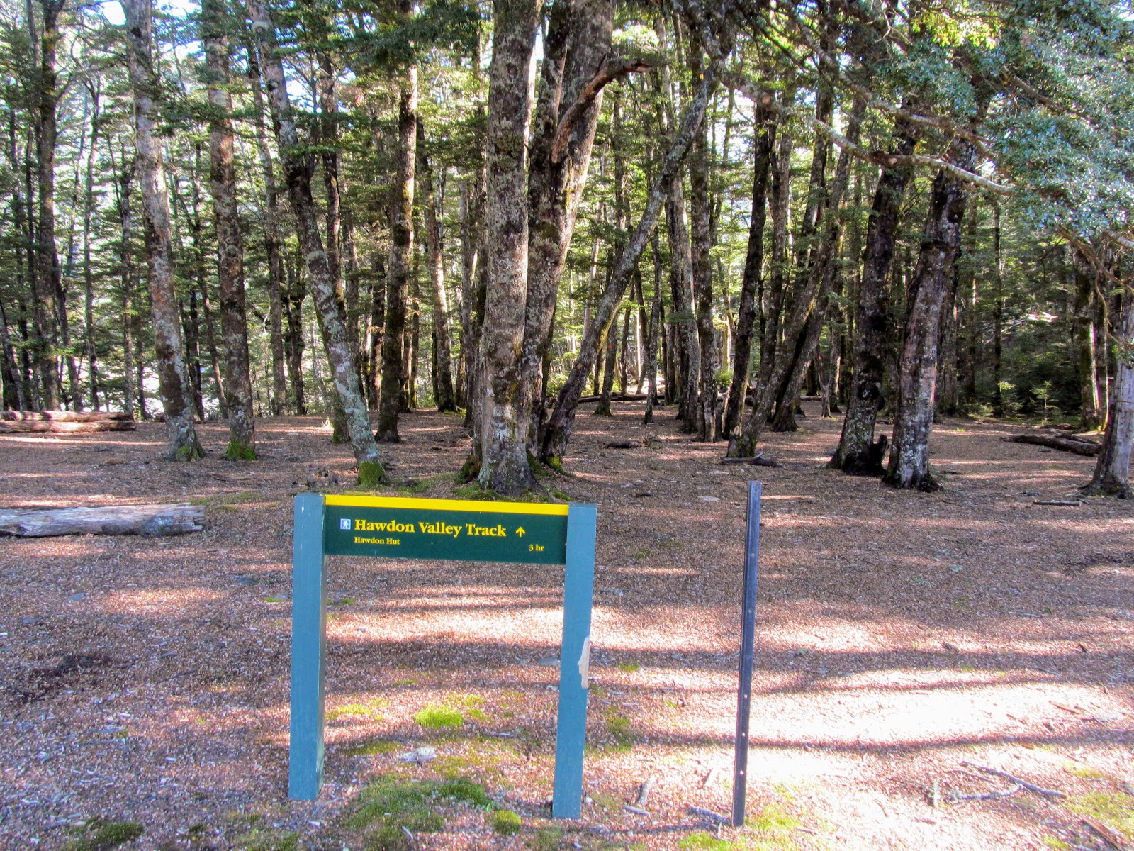 Tramping in the New Zealand backcountry: NZ Bush Adventures: Hawdon ...
