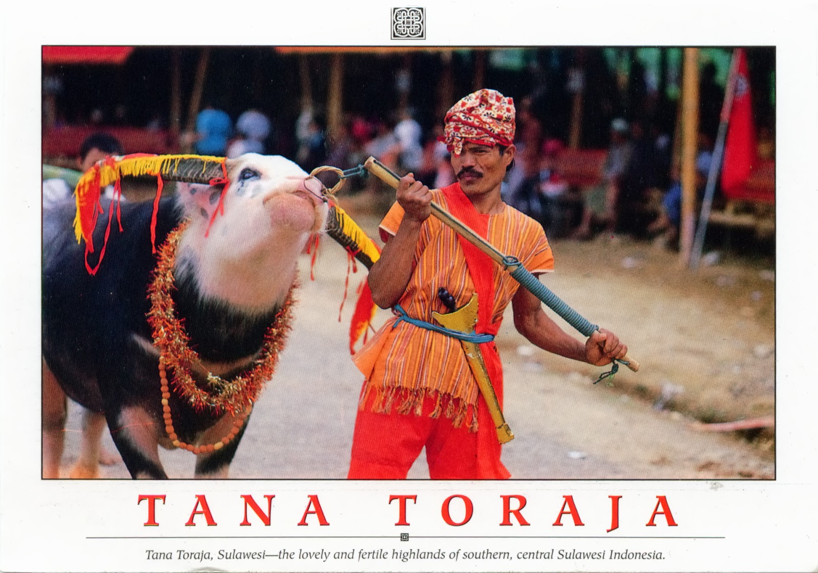 WORLD, COME TO MY HOME!: 0814 INDONESIA (Sulawesi) - A Torajan with a ...