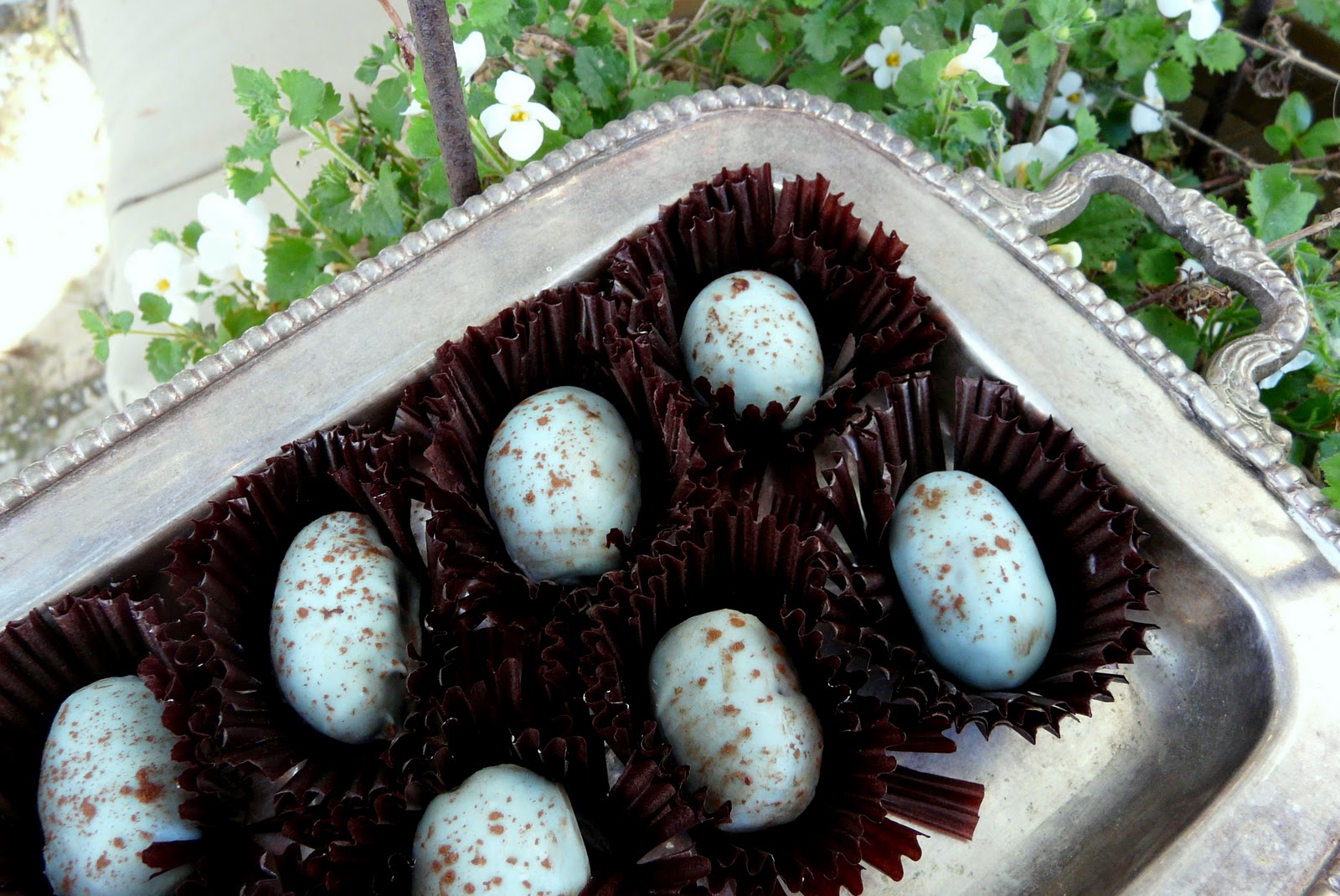 Speckled Robin's Egg Truffles -- Recipe & Tutorial Featured at the ...