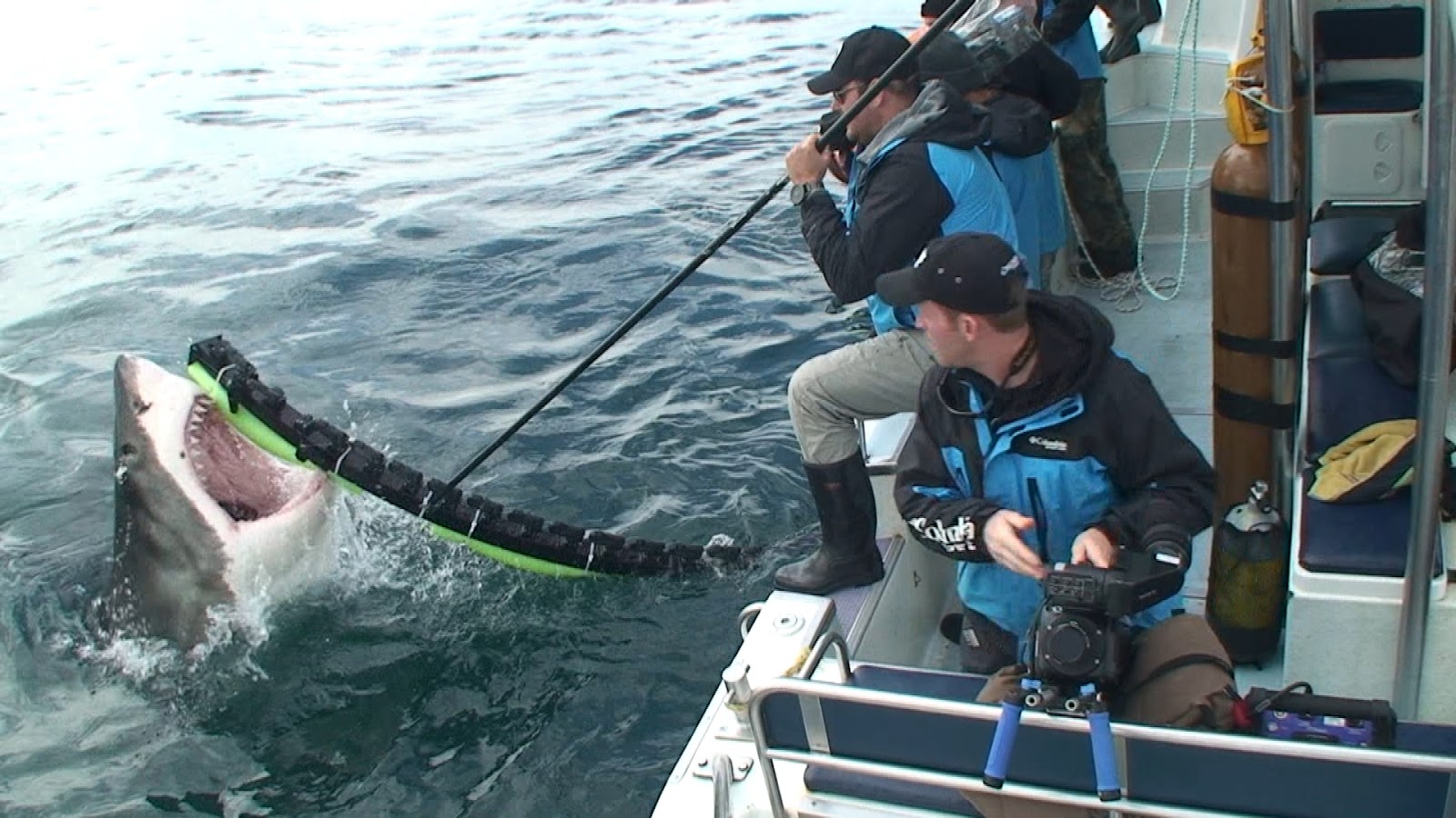 TV with Thinus: For Discovery Channel's Shark Week for 2016, DStv ...