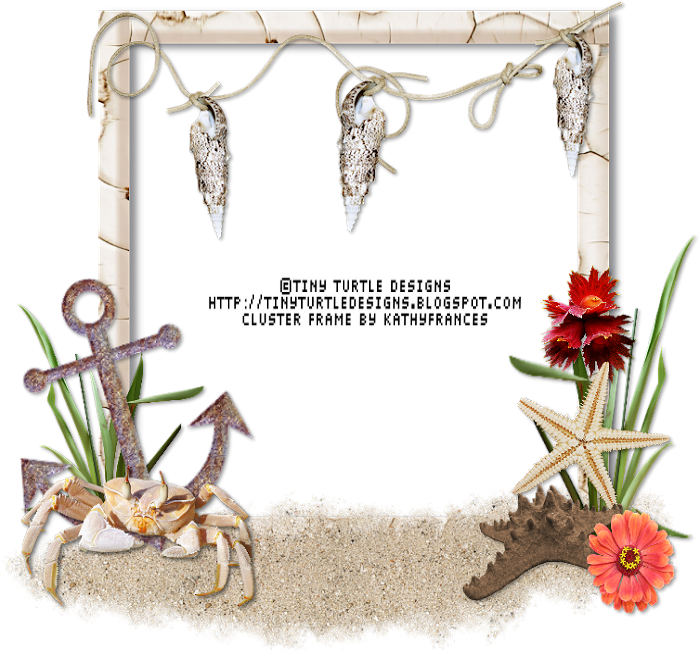Escape From Reality Blog: Sunset Beach Cluster Frame