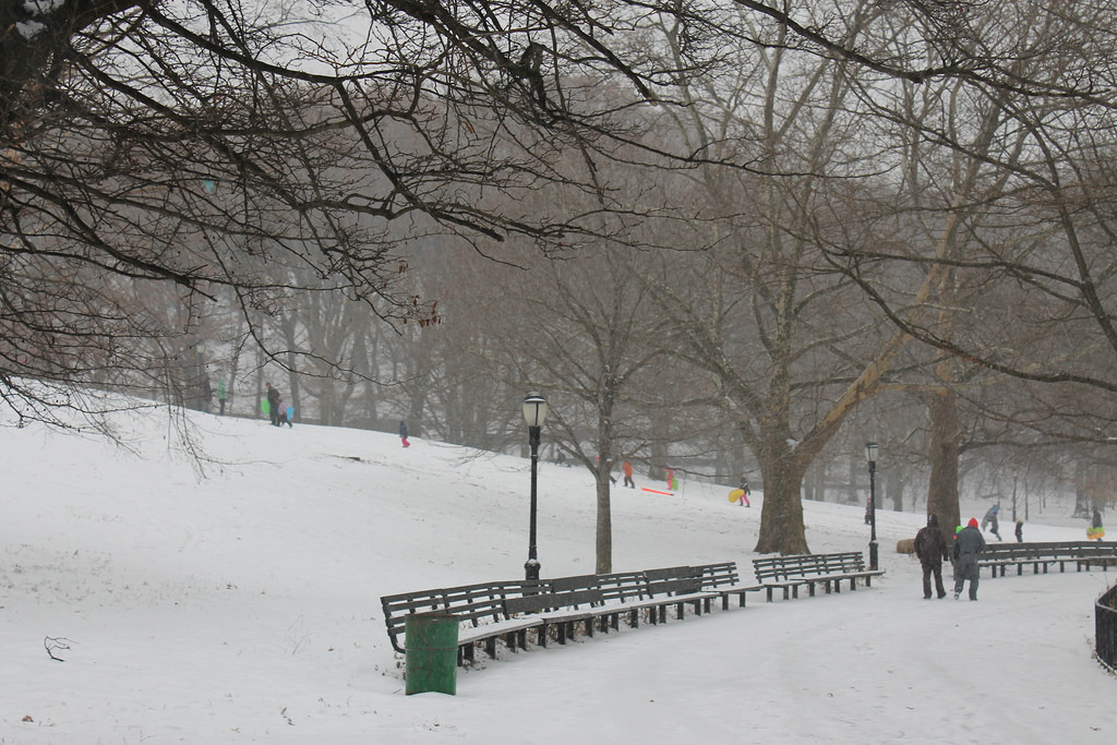 10 Places to Walk in New York When It's Snowing