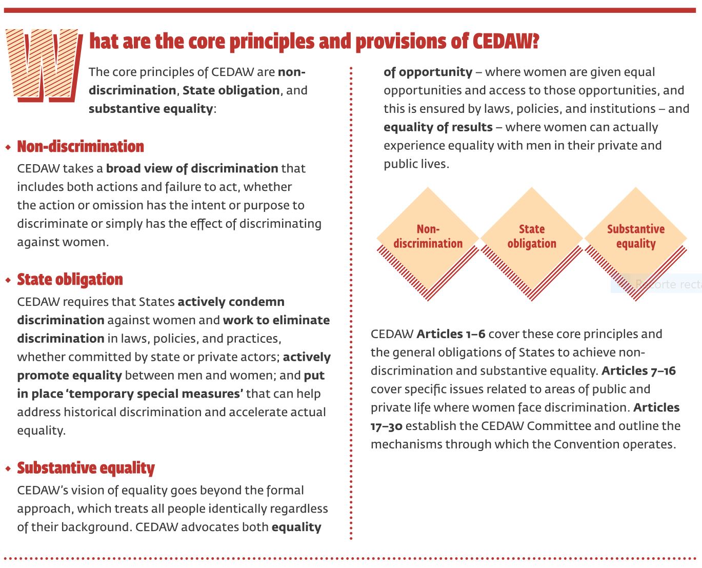 Equal rights for women worldwide: What are the core principles and ...