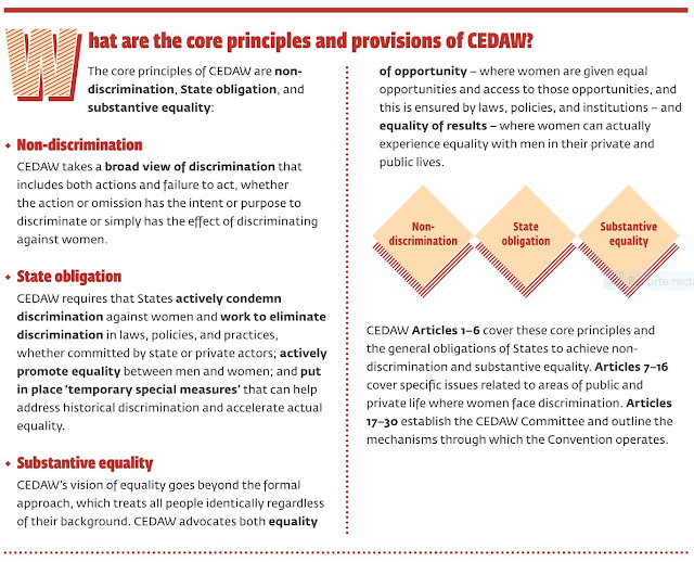 Equal rights for women worldwide: What are the core principles and ...