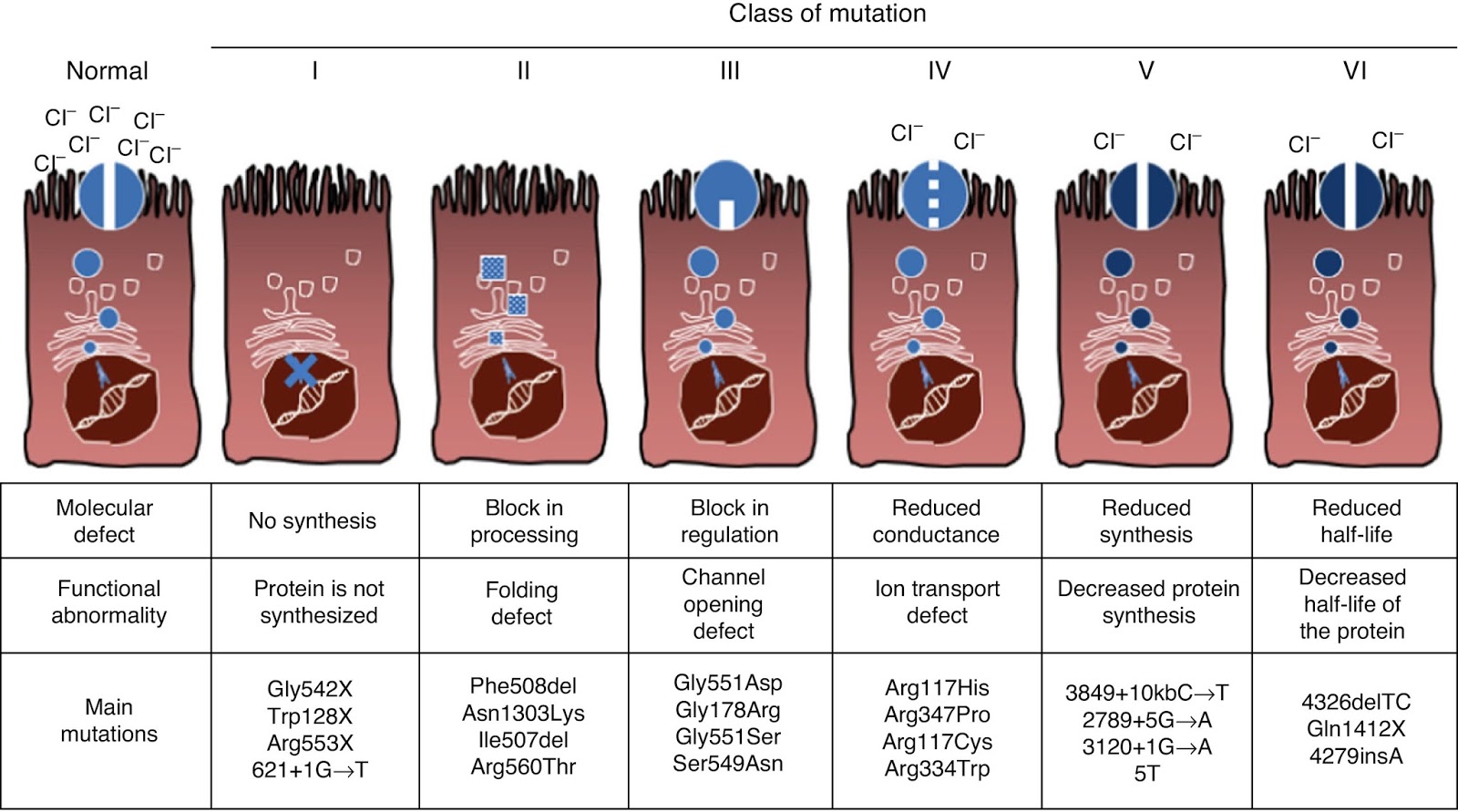 What is Cystic Fibrosis?