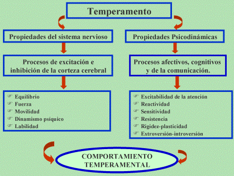 Los Temperamentos de ser Humano