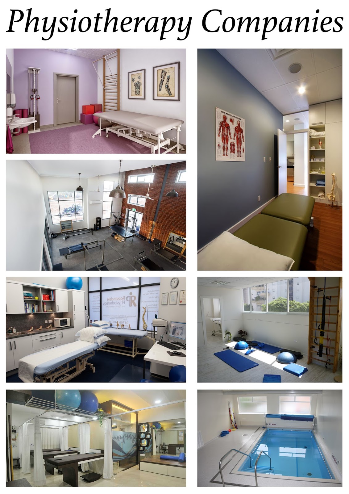 IPC- Ians's Physio Company (Major Project DES509): Research ...