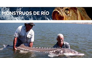 DocumentalPark | Compartir...: Bagre asesino: Monstruos de rió [Discovery]