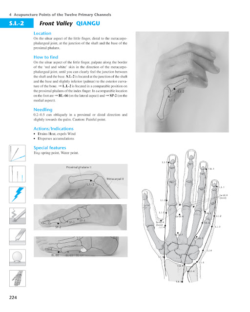 Acupuncture Masters: Acupuncture Points Database - Small Intestine Channel