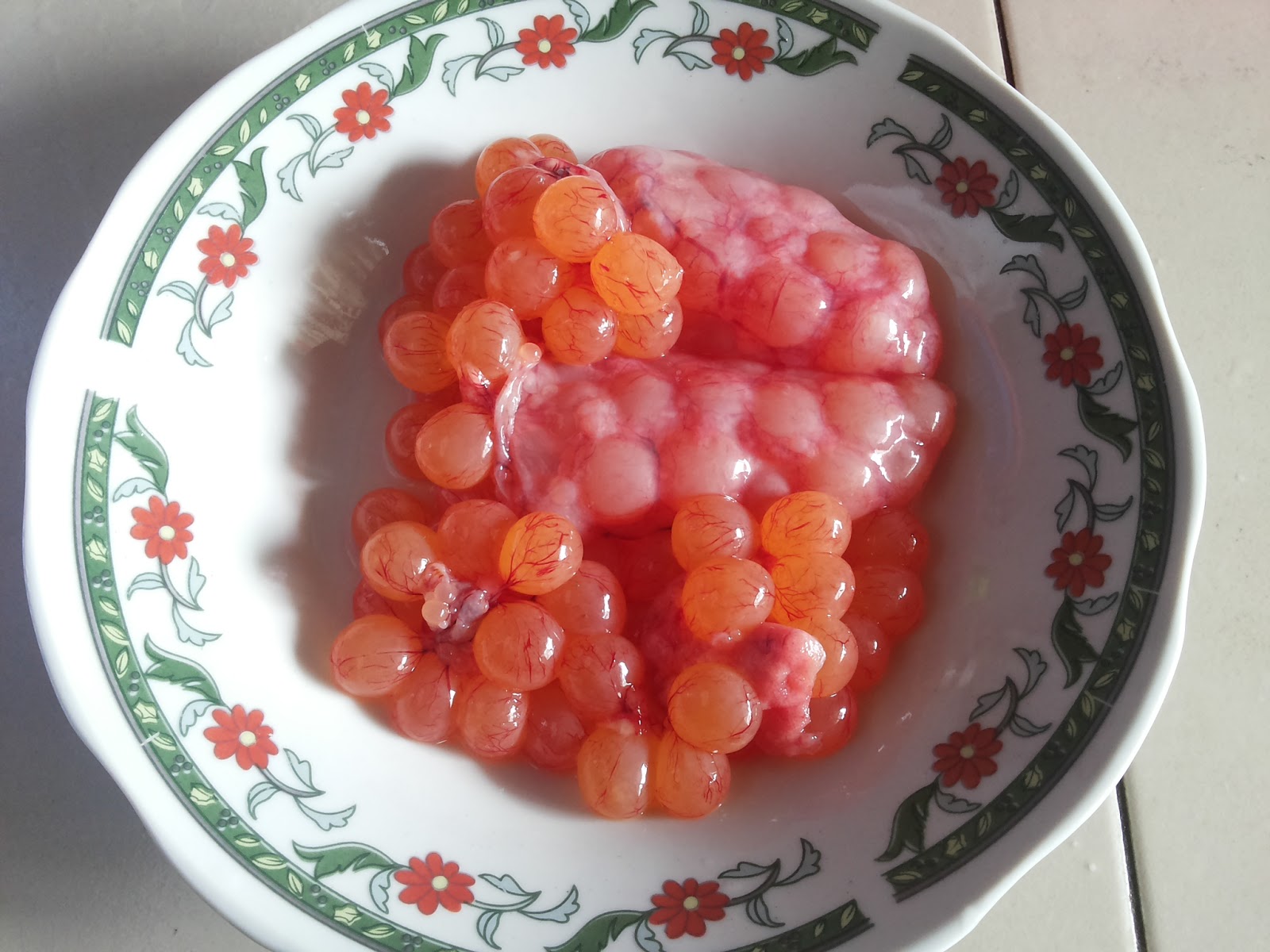 ::We Always Falling In Love::: Lagi Teloq Ikan Plotan (Mayong)